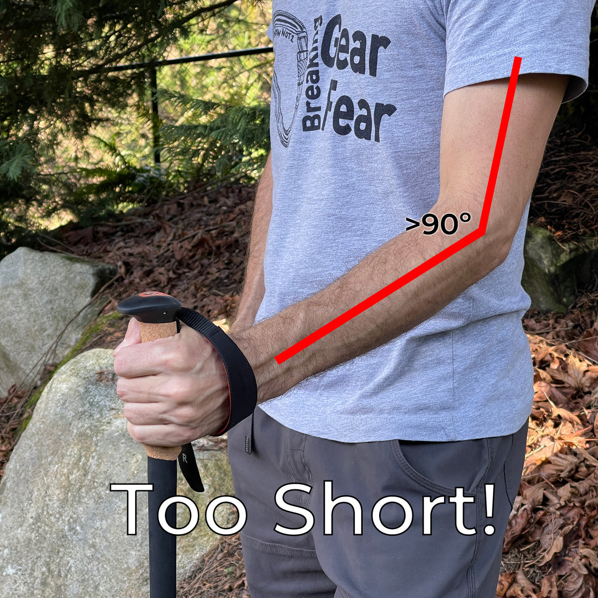 Trekking Pole Guide
