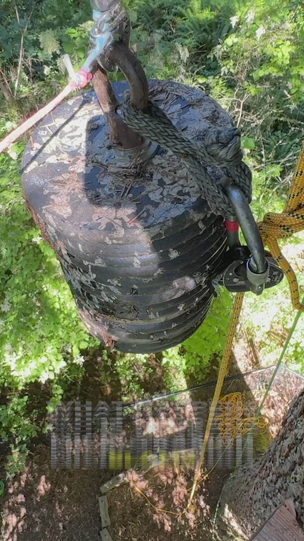 Top Rope Solo Buying Guide